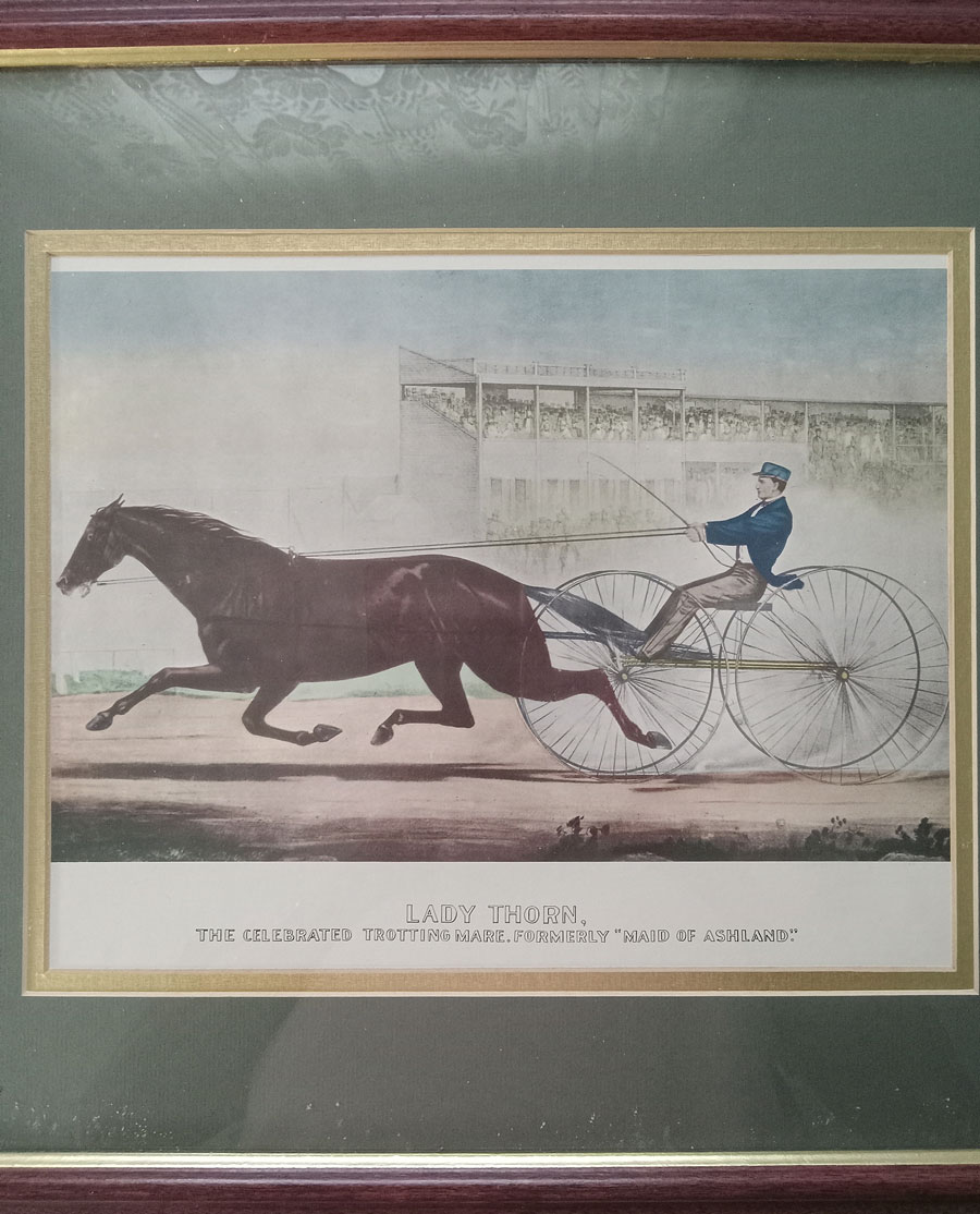 “Lady Thorn” – framed print – Indian Charlie